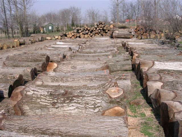 Industrial wood, pulpwood
