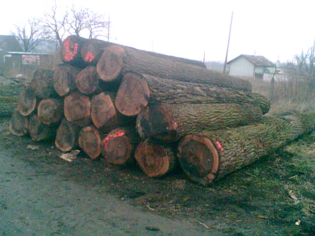 Industrial wood, pulpwood