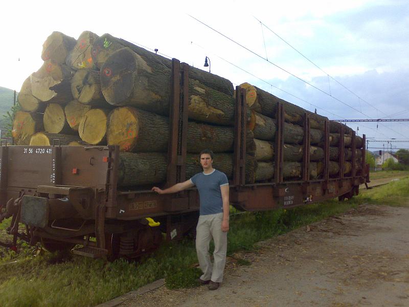 Industrial wood, pulpwood