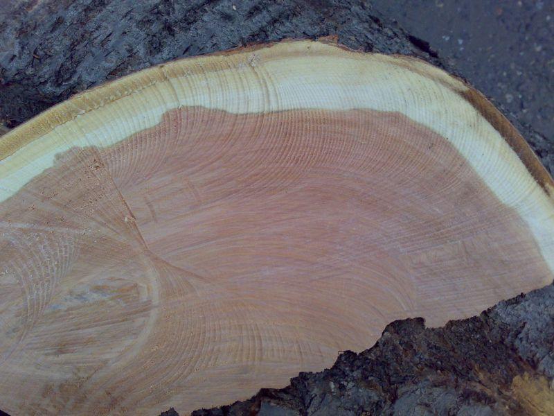 Industrial wood, pulpwood